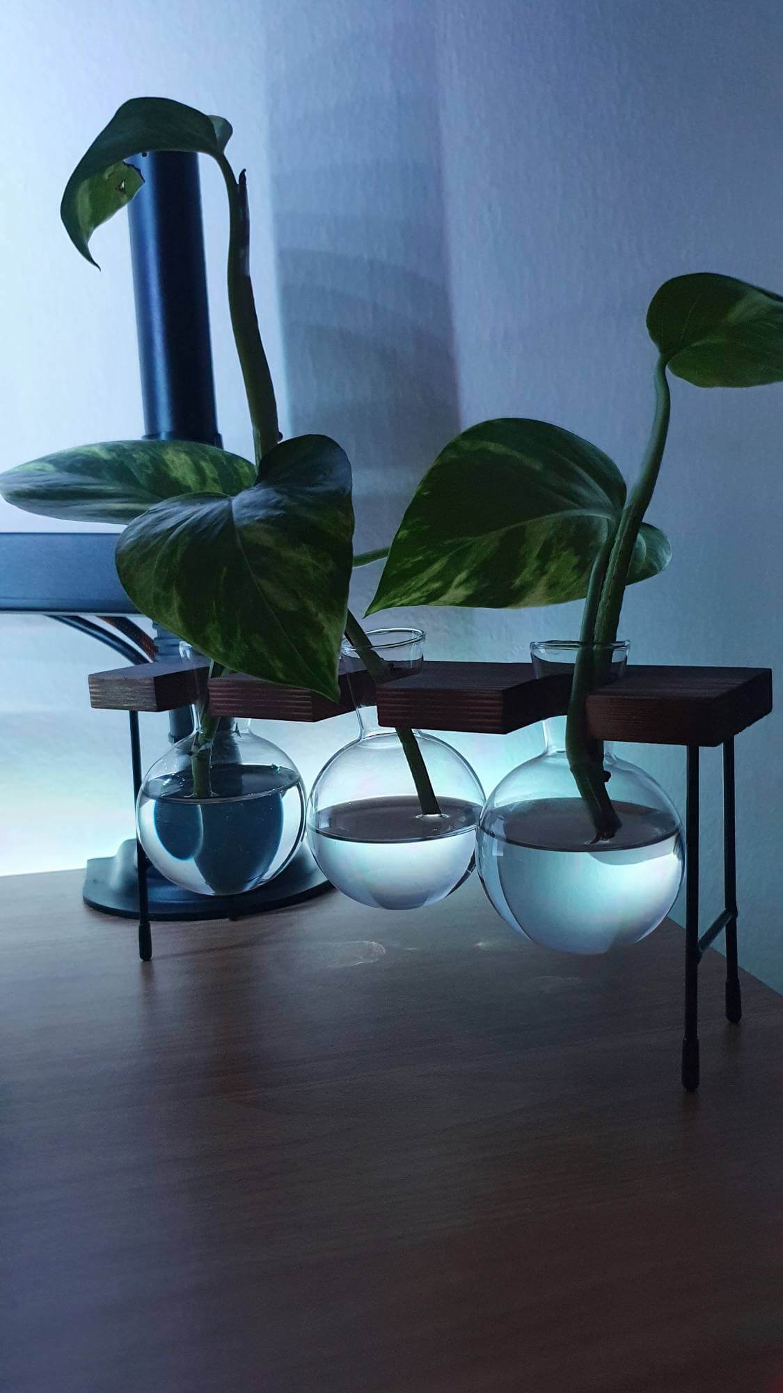 Cable-Free Desk Setup