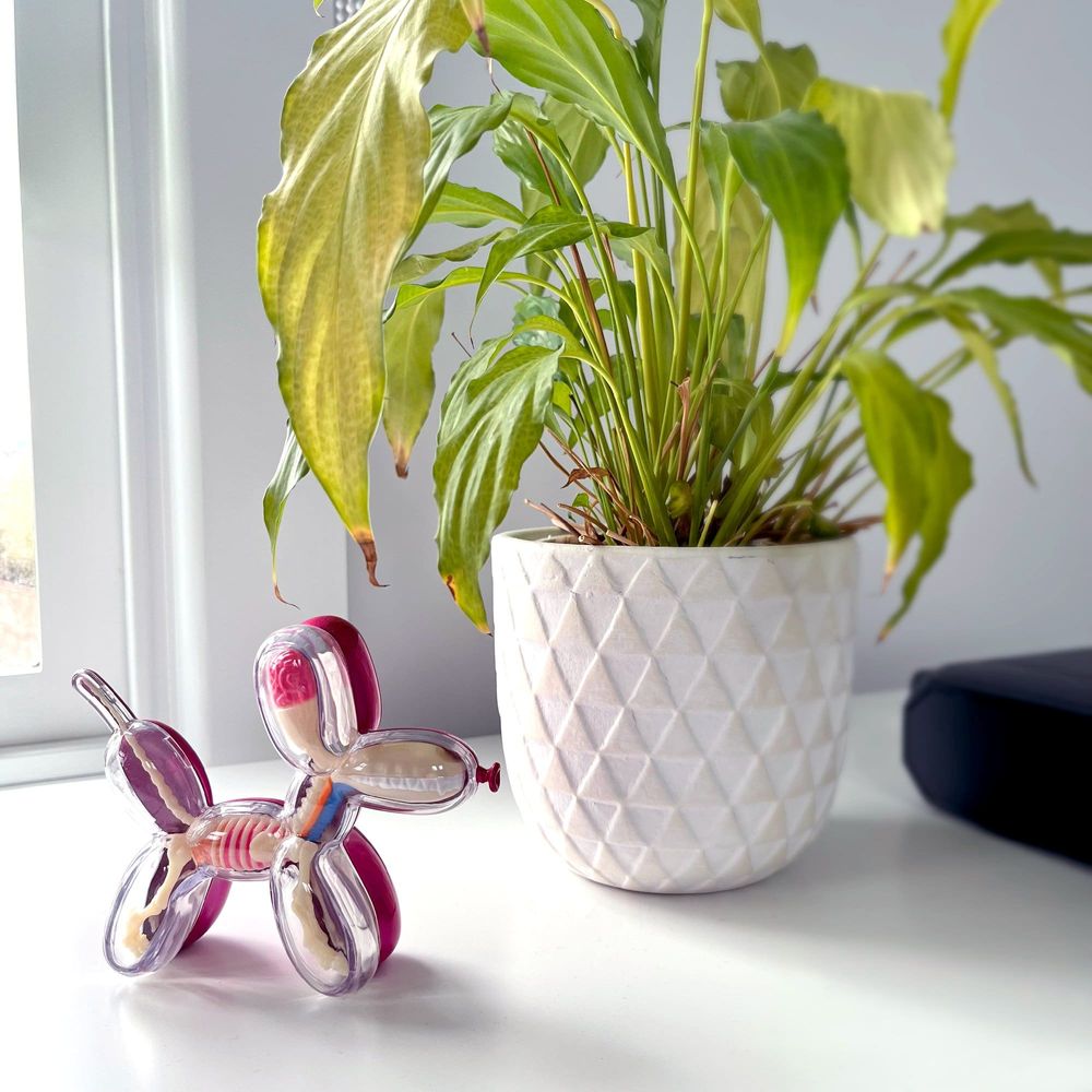 Spacious Standing Desk Setup