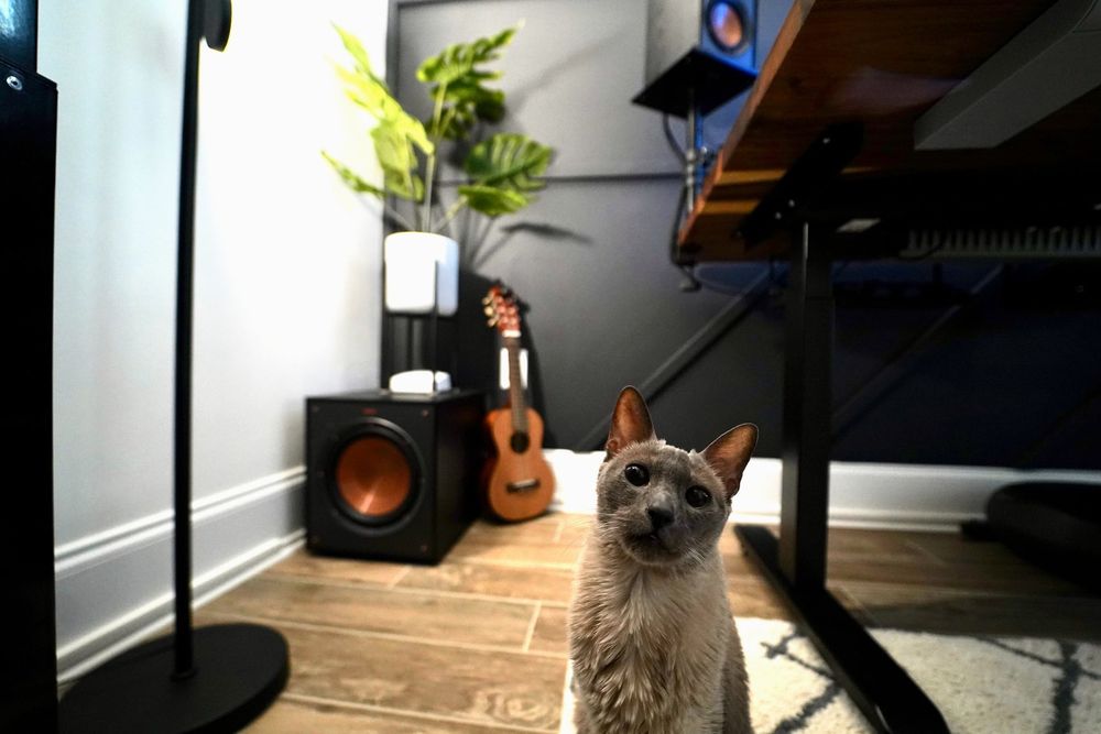 Super Ultrawide Desk Setup