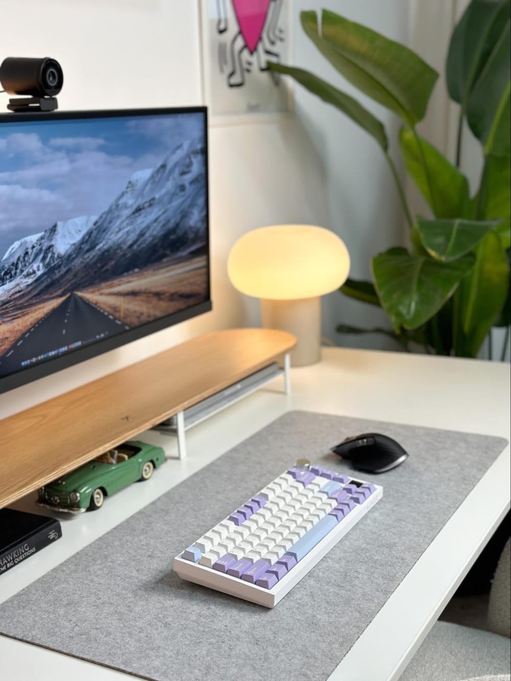 BenQ Widescreen Desk Setup
