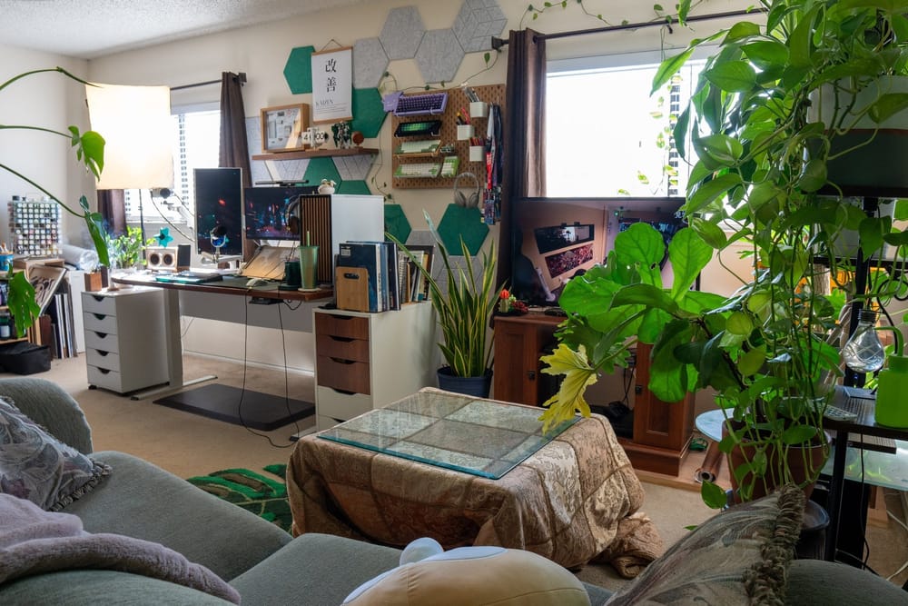 Indoor Jungle Workspace in Texas