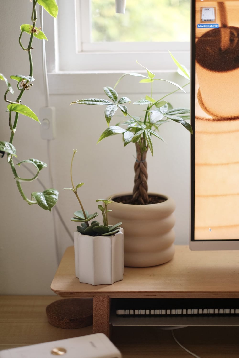Cosy Bedroom Desk Setup with Plants