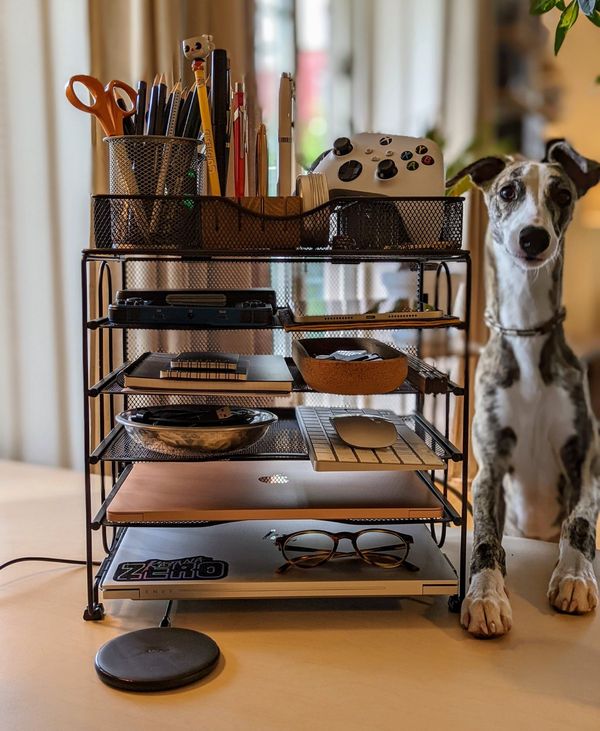 50+ Work-From-Home Essentials from Real People (2025)