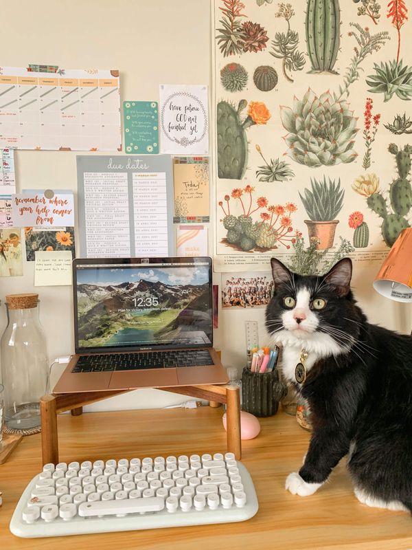 13 Small Desk Setup Ideas That Actually Work (With Real Examples)